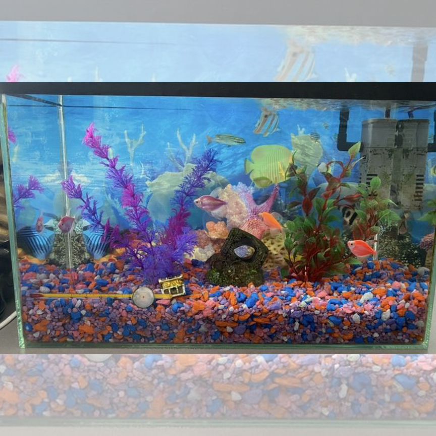Аквариум с рыбками