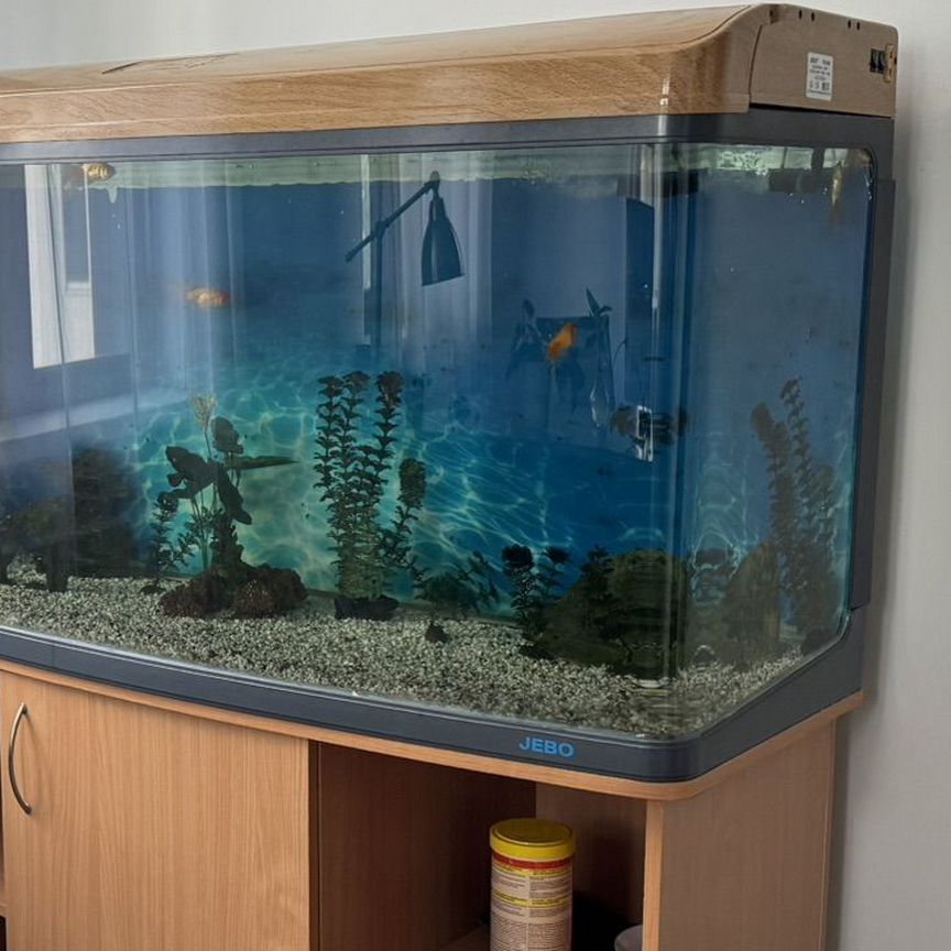 Аквариум Jebo 300l