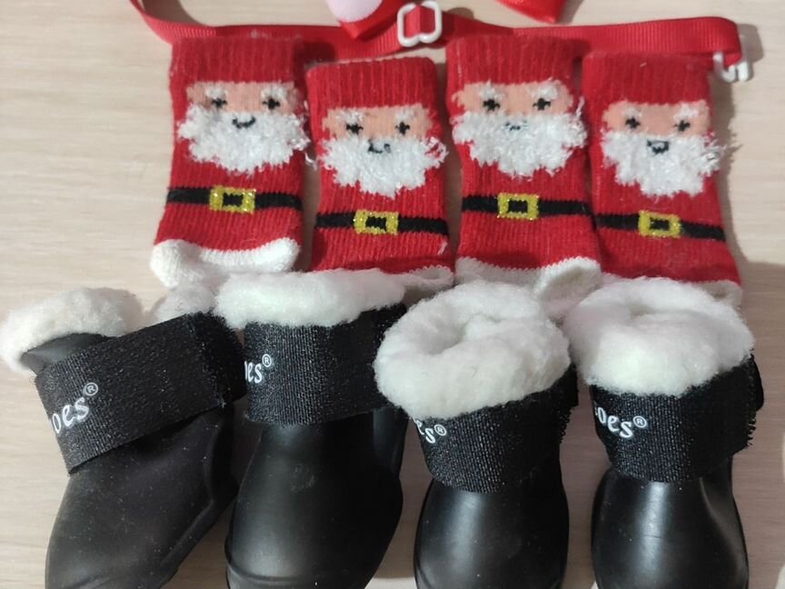 Обувь для собак и бантик