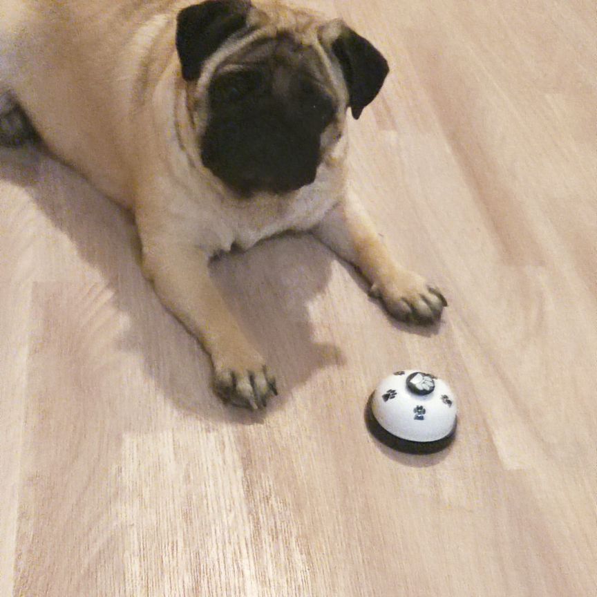 Ищем жениха