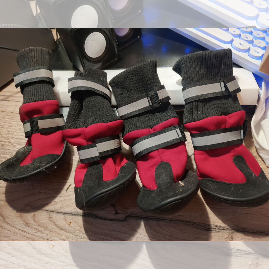 Rungoботинки высокие на липучках для собак, M