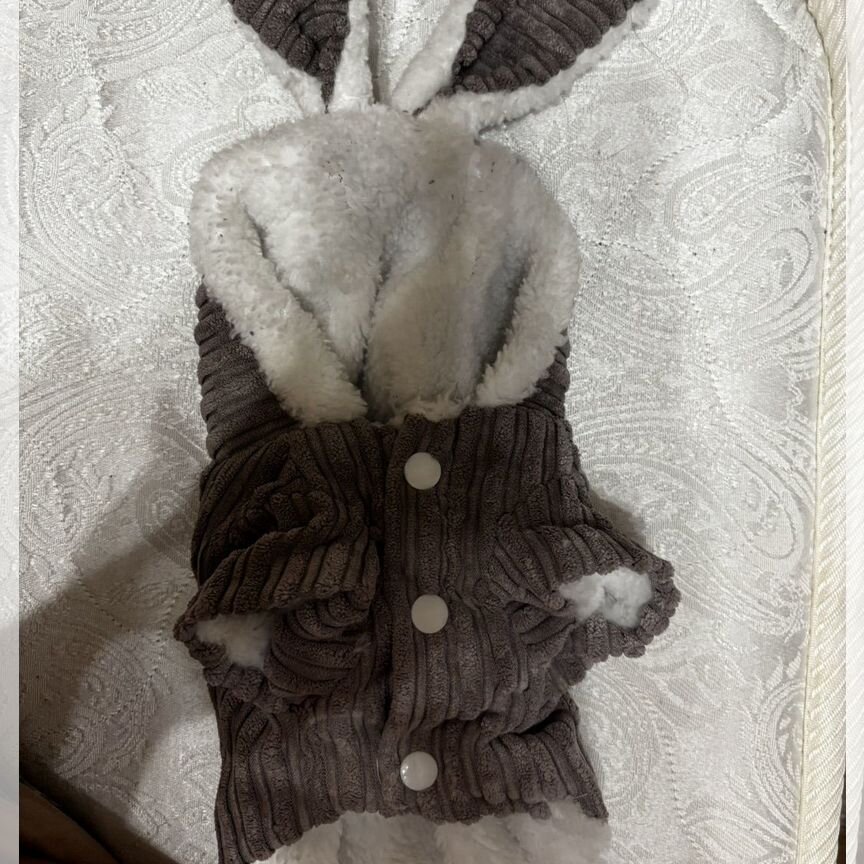 Одежда для собак мелких пород