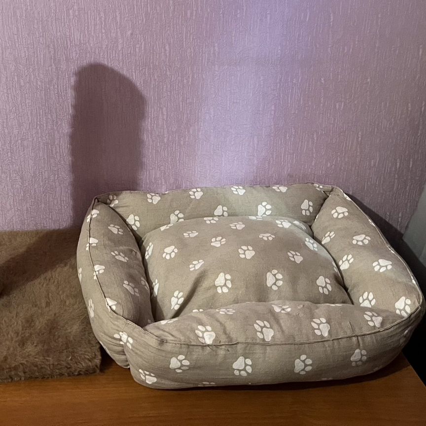 Когтеточка с лежанкой б/у