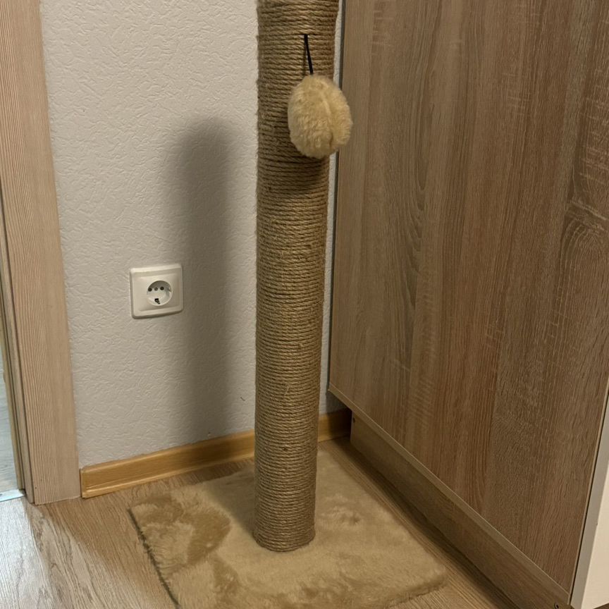 Когтеточка для кошки новая