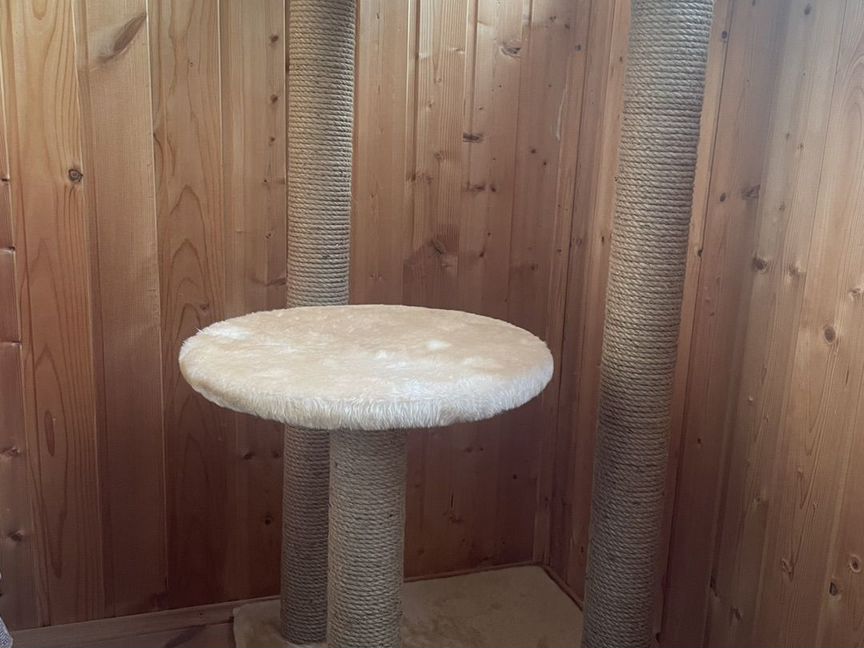 Когтеточка