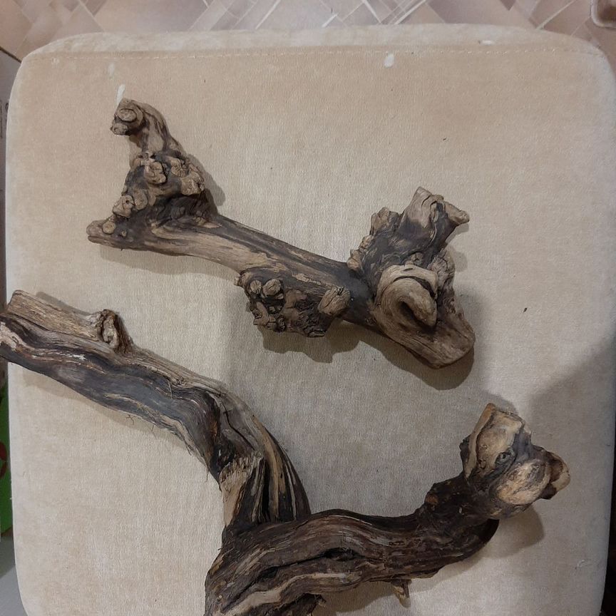 Коряги для террариума