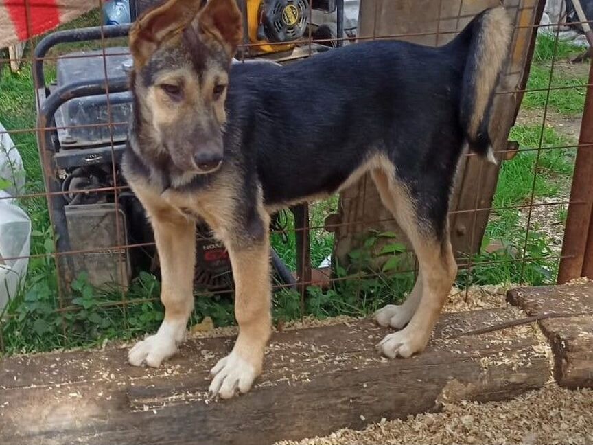 Нереальная красотка Саяна в самые лучшие ручки