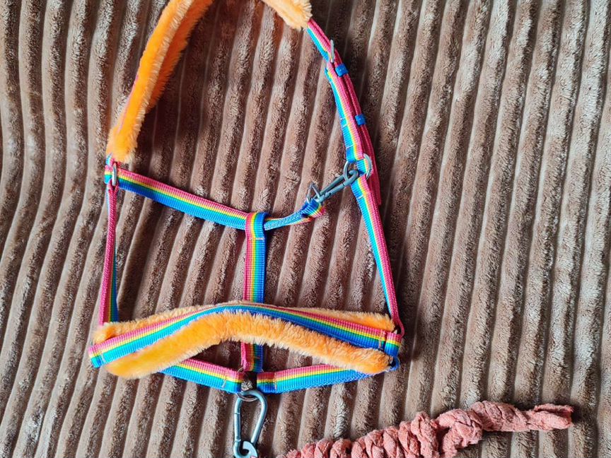 Недоуздок для лошади