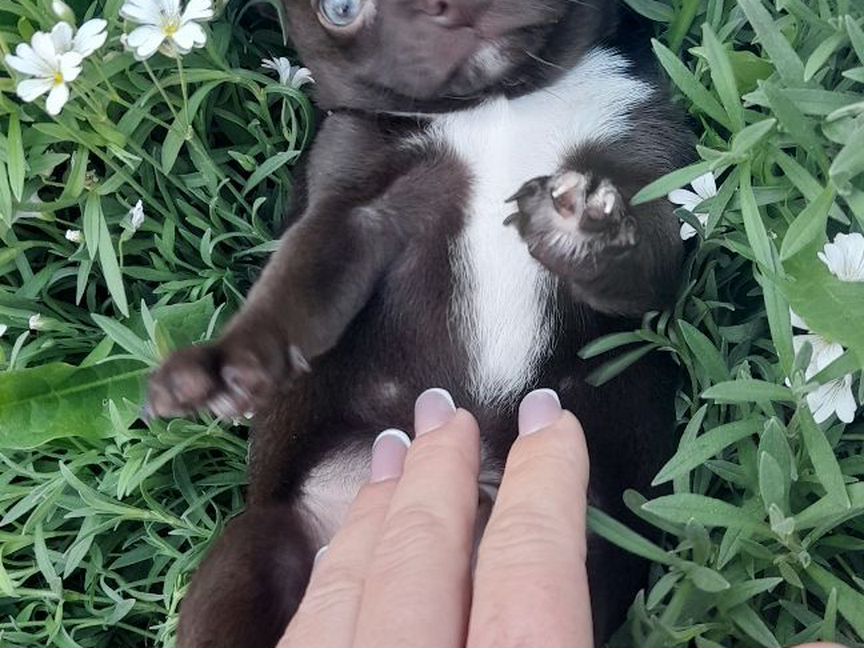 Суперские чишки мальчишки