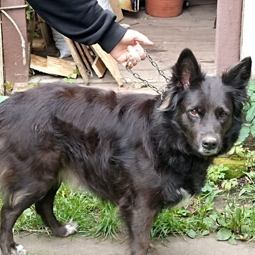 Дина ищет новую семью