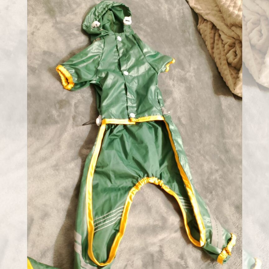 Одежда для собак