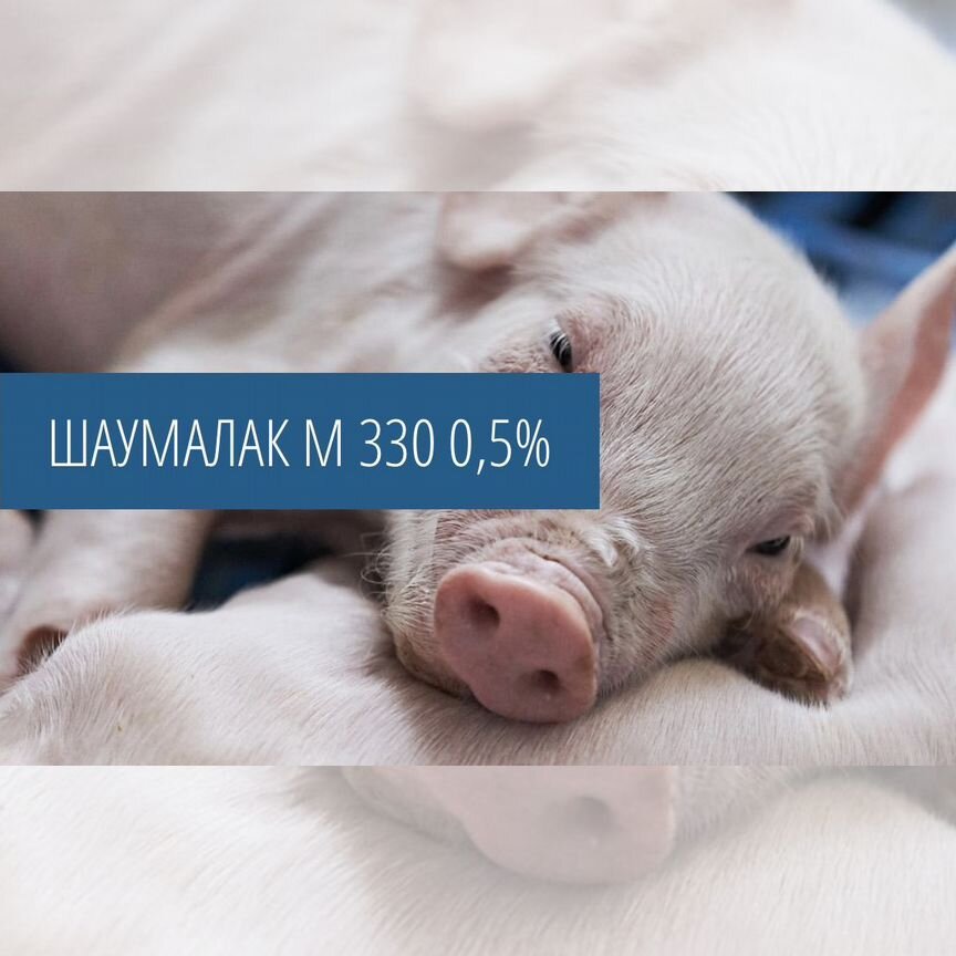 Премикс для свиней на откорм