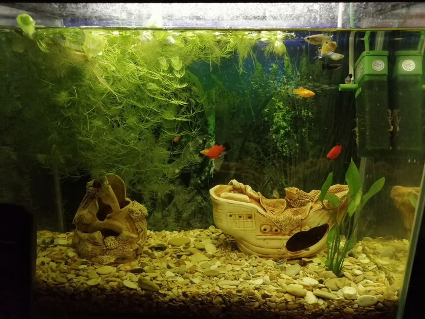 Украшение для аквариума