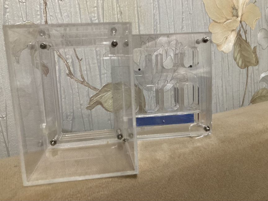 Муравьиная ферма без упаковки