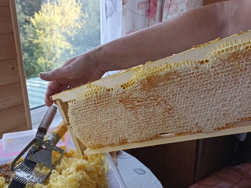 Сушь для пчел