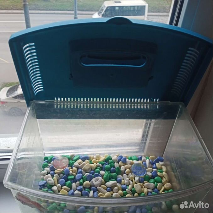 Продаю миниаквариум