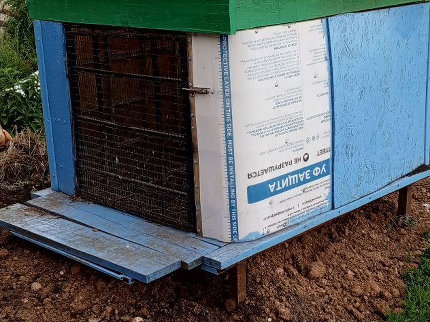 Цыплятник утятник