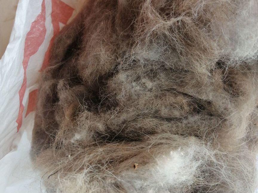 Сою. Шерсть