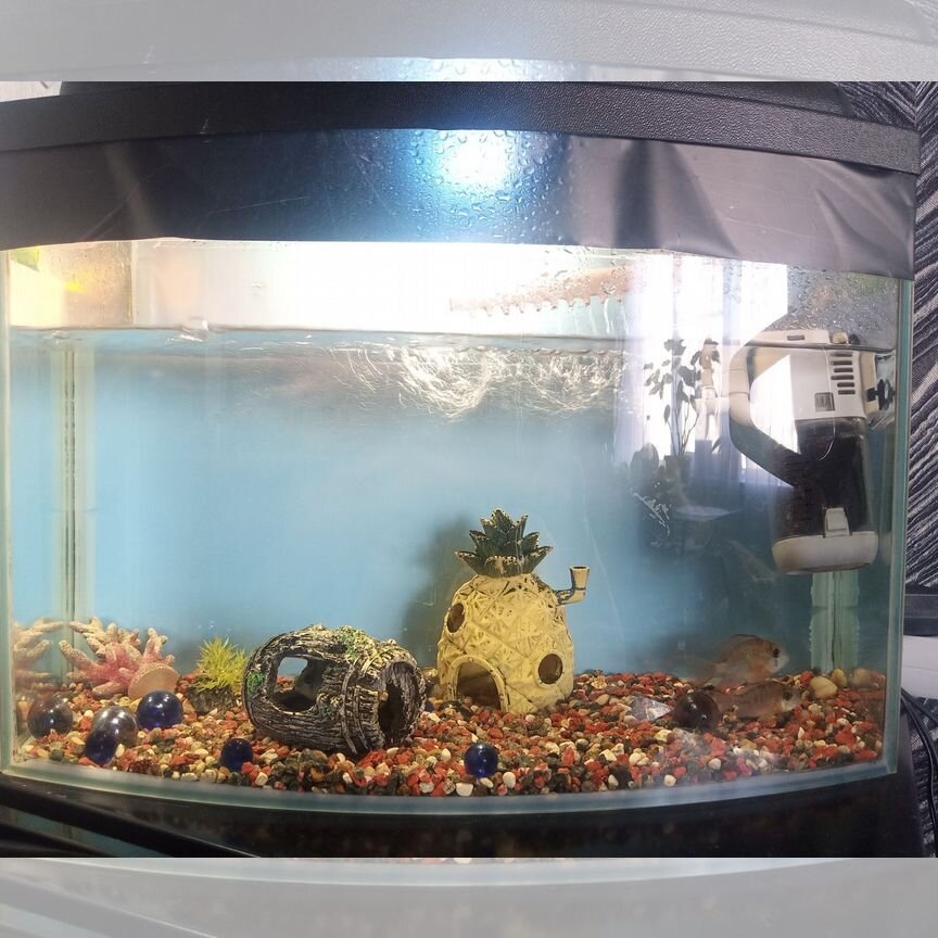 Аквариум 60л