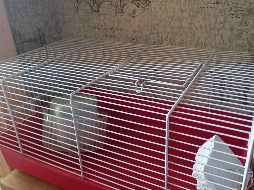 Клетка для джунгарского хомяка с комп