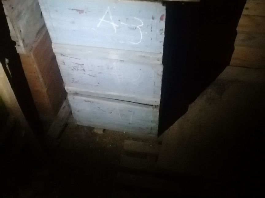 Ульи дадан 12 рамочный