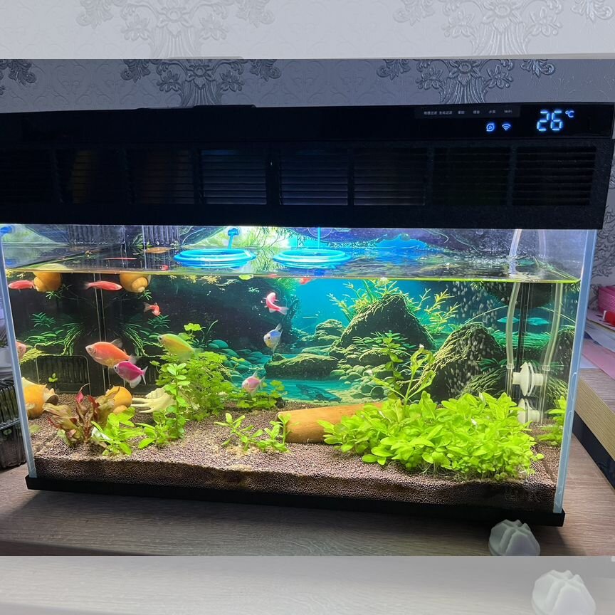 Умный аквариум xiaomi 20 литров