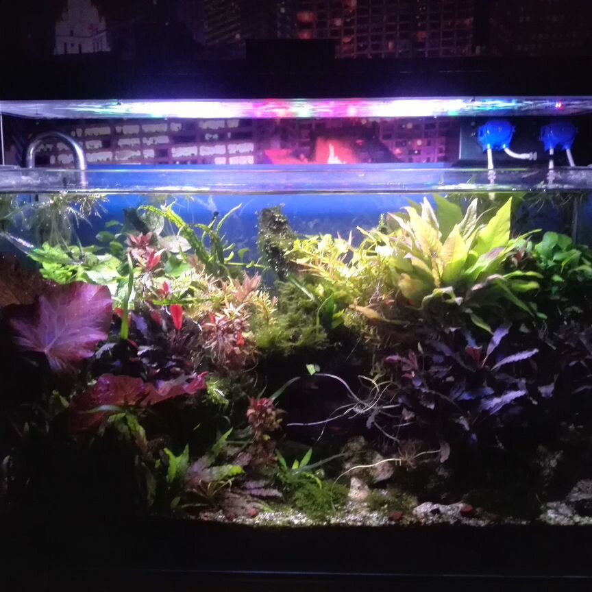 Восьмиканальный светодиодный светильник с WI-FI уп