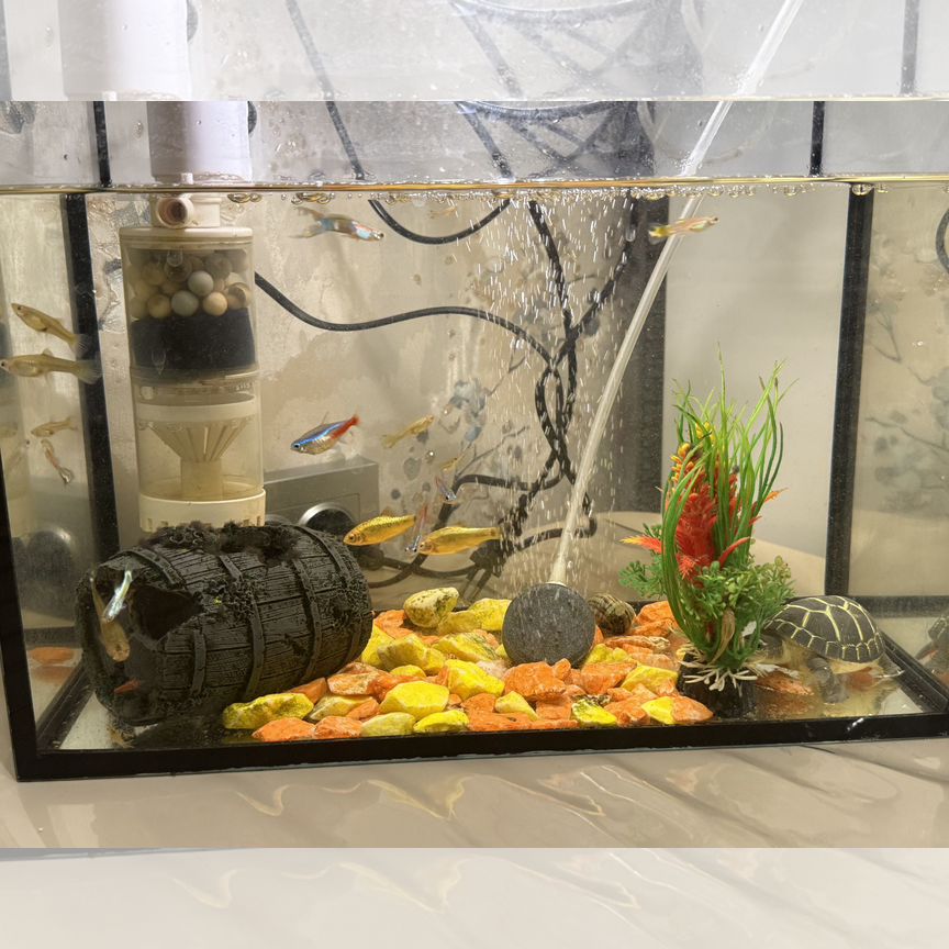 Аквариум с рыбками готовый