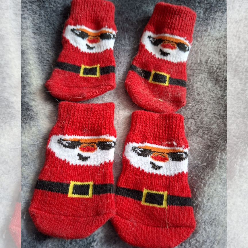 Носочки для собак