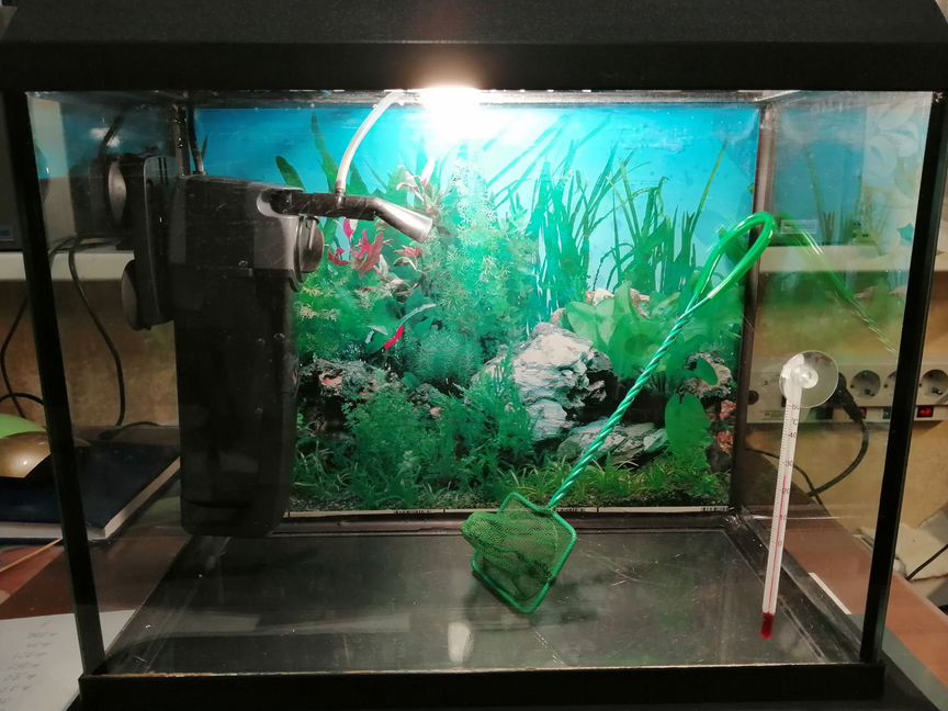 Аквариум 25л в сборе