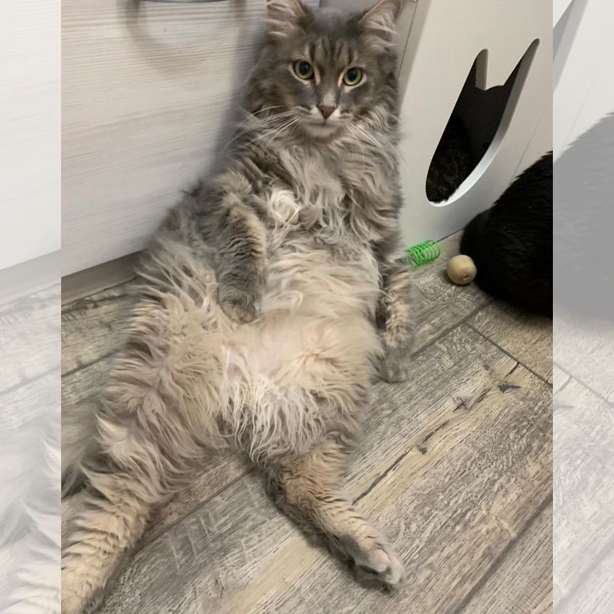 Серёжя оставлся без дома