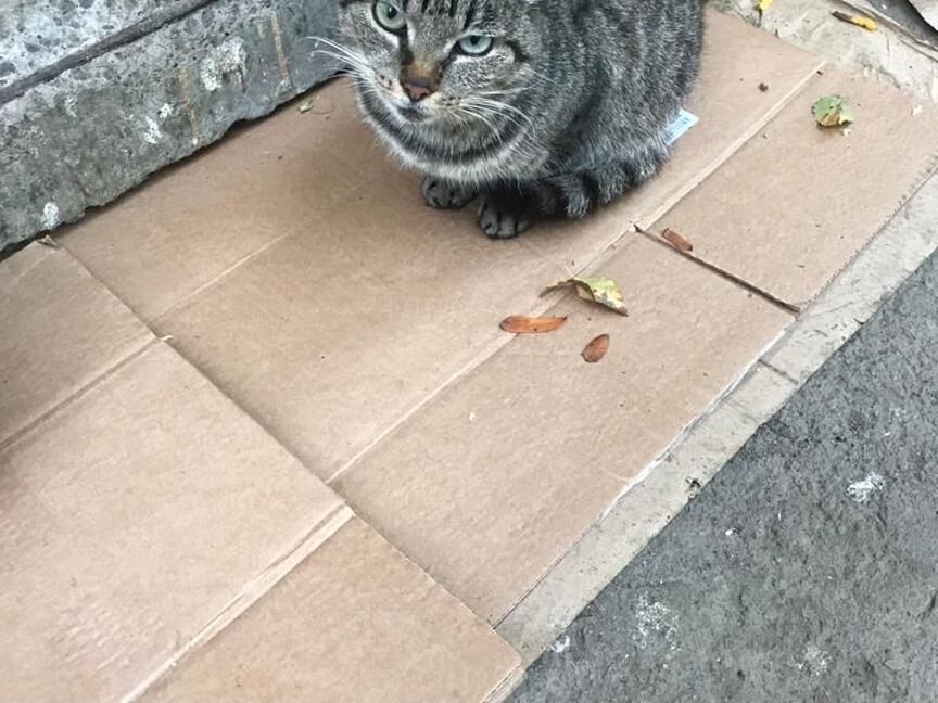 Последний шанс