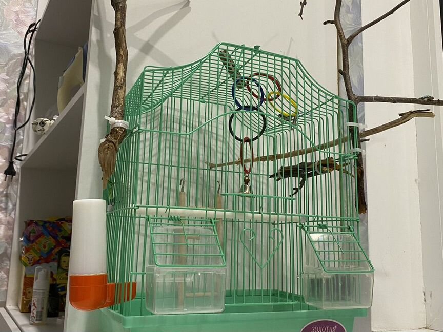 Клетка для птиц