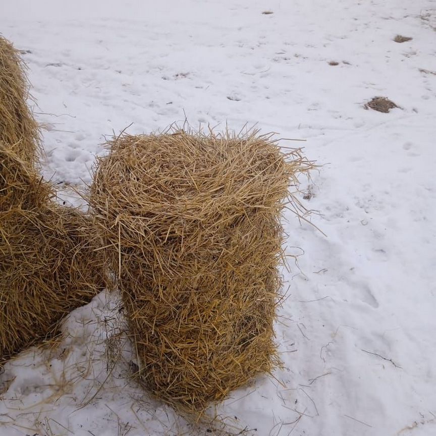 Продам солому в рулонах