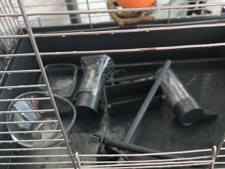 Авиарий, вольер для птиц, клетка