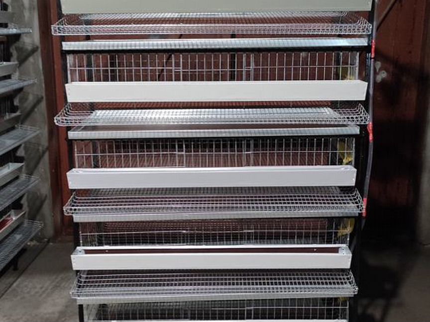 Клетка для перепелов (мини ферма) пять секций