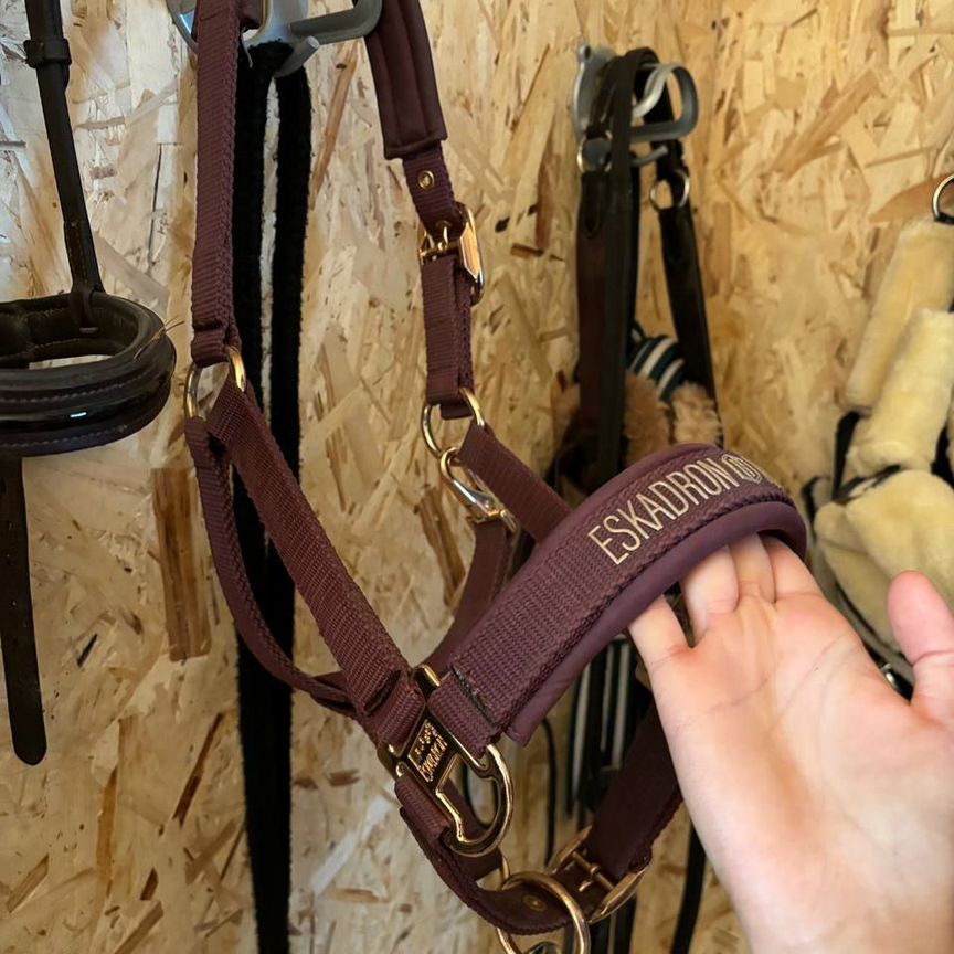 Недоуздок для лошади