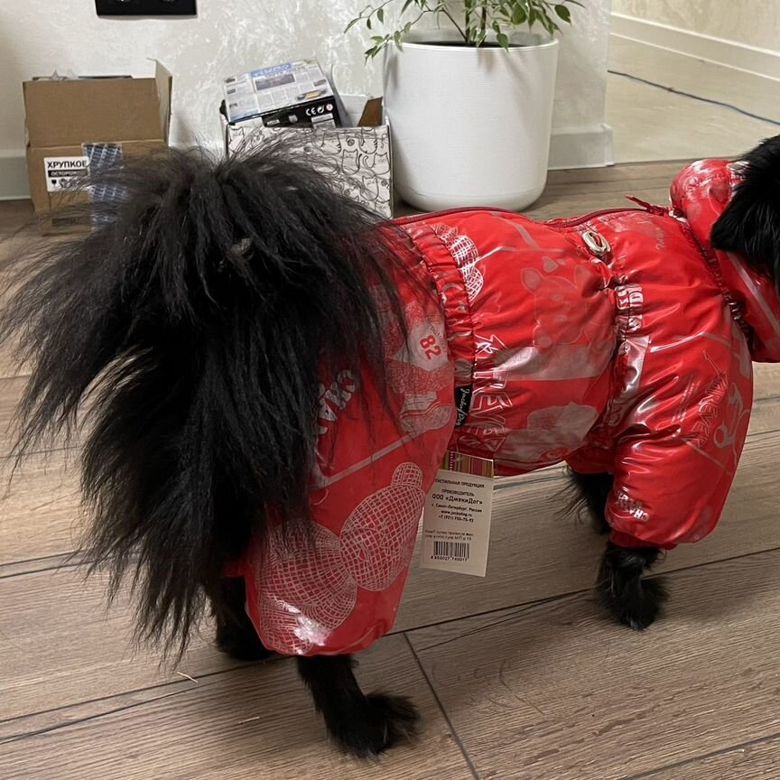 Зимняя одежда для собаки