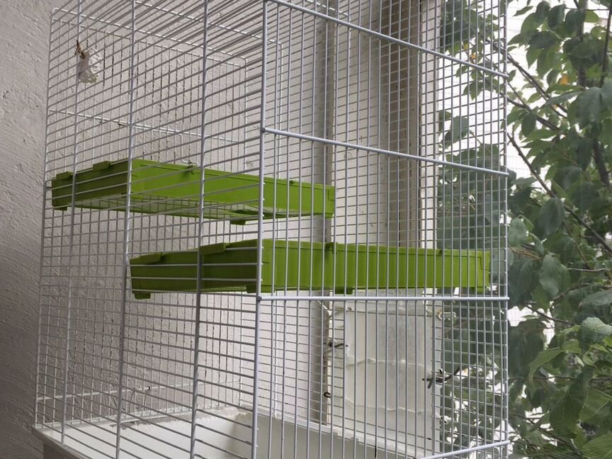 Клетка ferplast 3 этажа