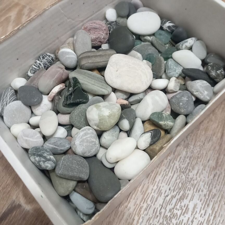 Морские камни и ракушки