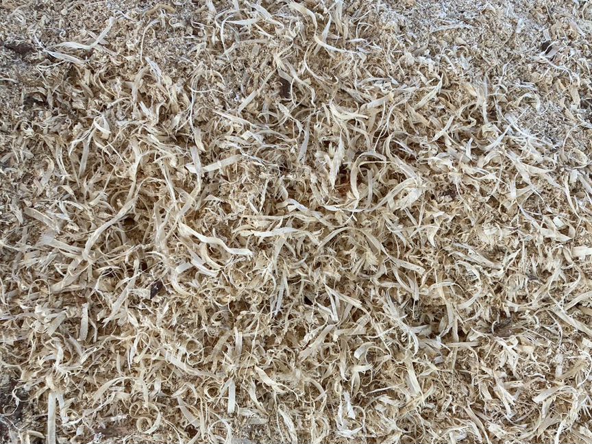 Опилки стружка бесплатно