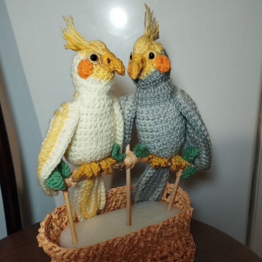 Попугаи(корелла пара)