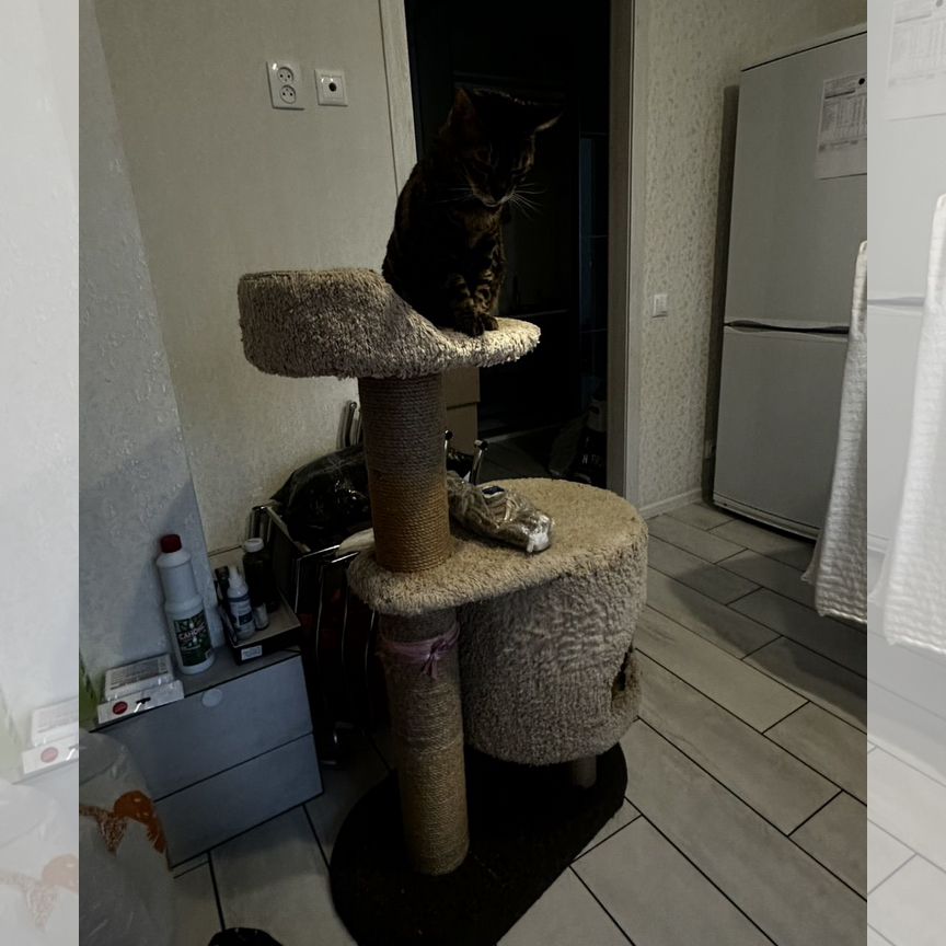 Домик кошачий