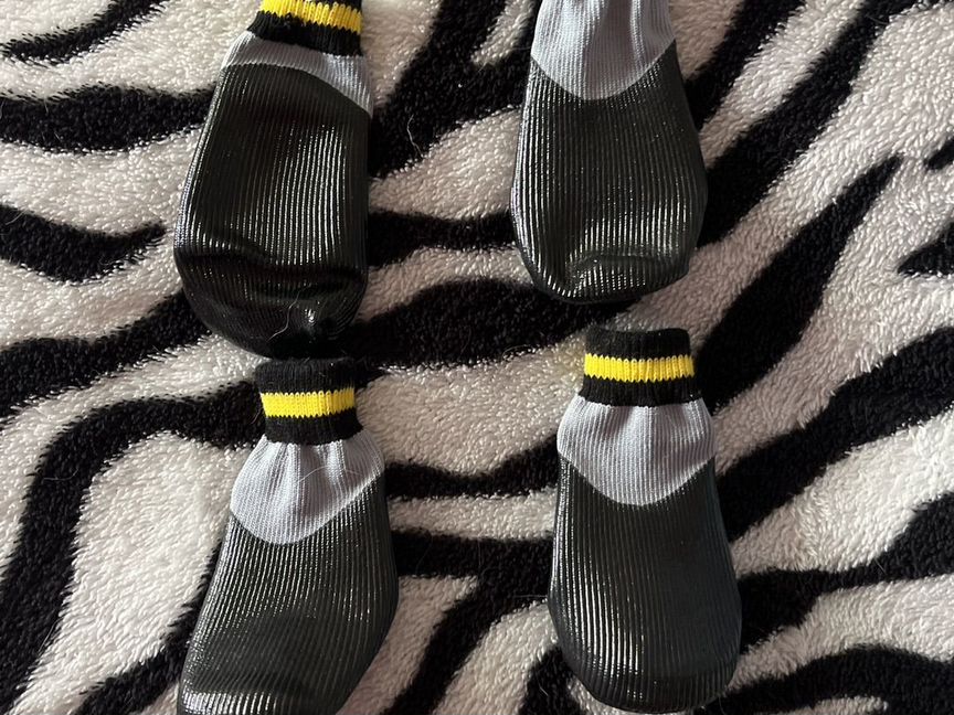 Носки для собак