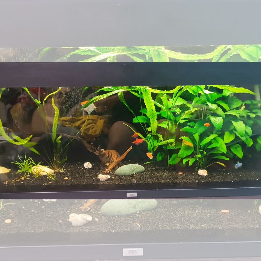 Аквариум jewel 180 литров