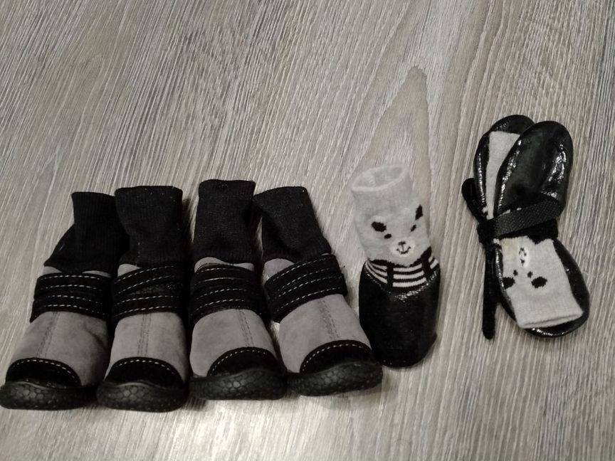 Ботинки для маленьких собак