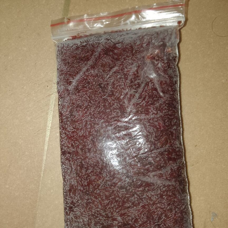 Мотыль кормовой замороженный