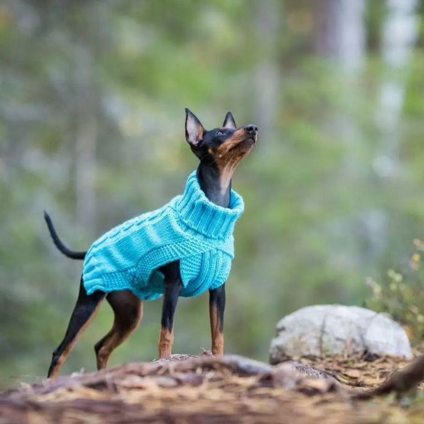 Свитер для собак Rukka Pets L