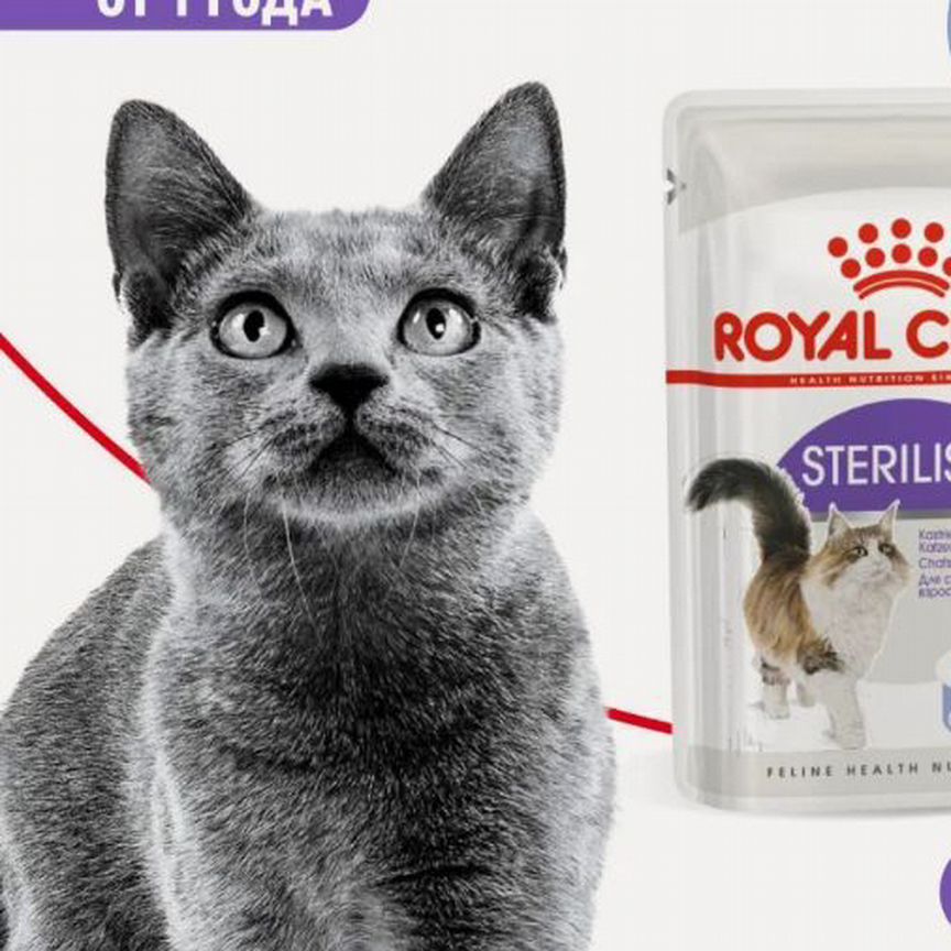 Влажный корм для кошек royal canin sterilised