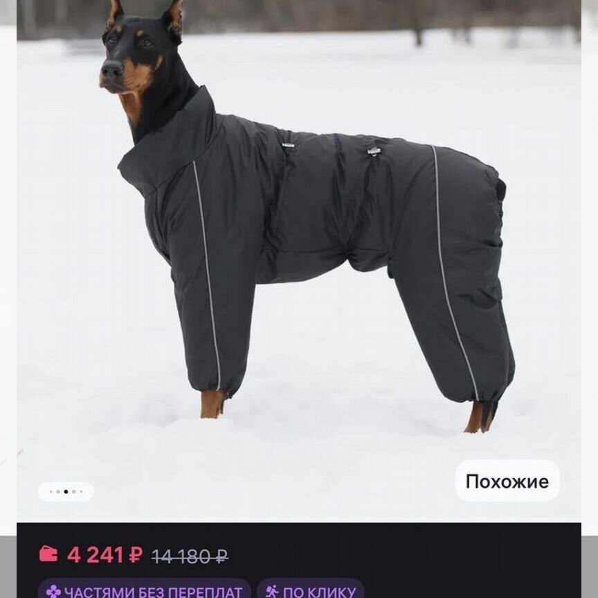 Одежда для крупных собак зима